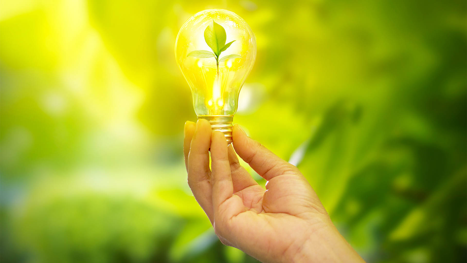 Integrated Green Energy Solutions ASX IGE Finalises USA Deal Integrated Green Energy Solutions ASX IGE Finalises USA Deal